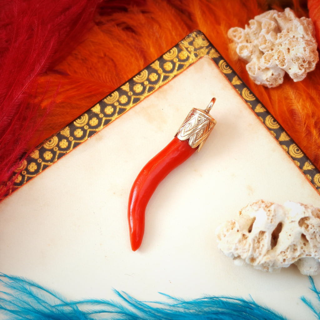 Antique Red Coral Cornicello Amulet – Fetheray