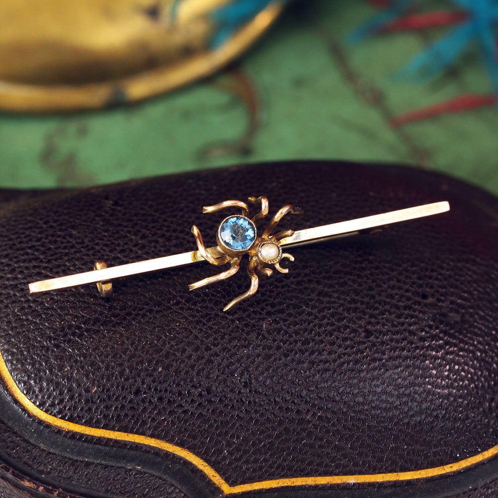 Quirky Edwardian Spider Bar Brooch – Fetheray